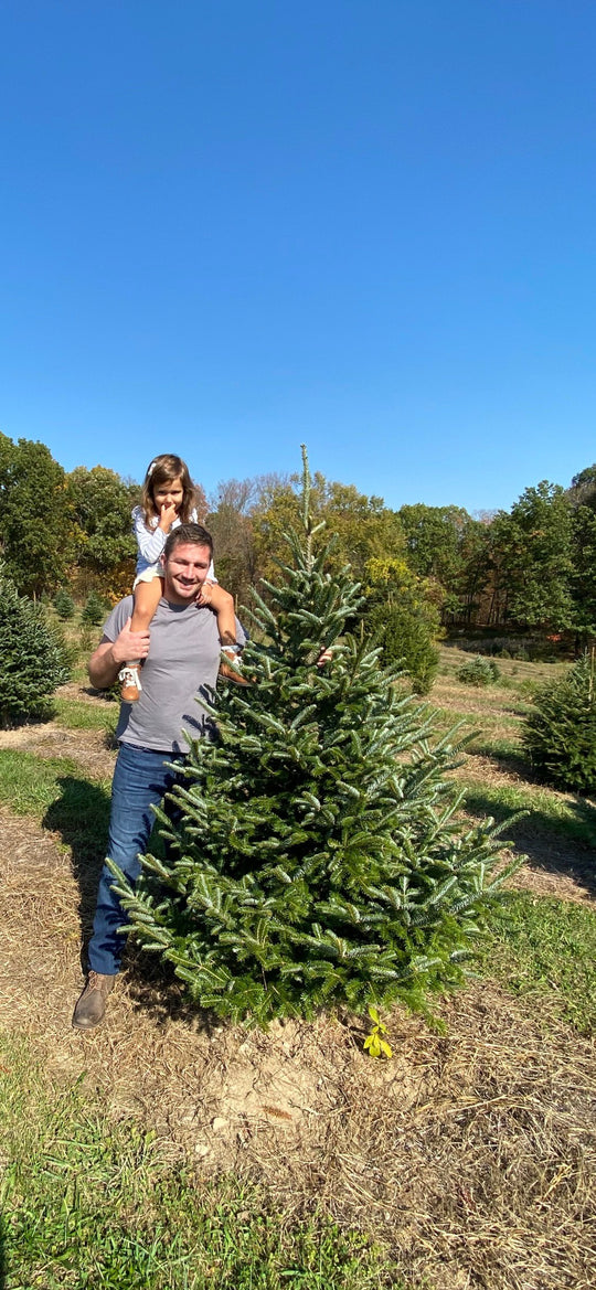 Our Story | NYC Trees – NYC TREES